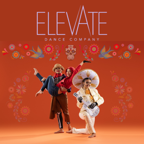 Recitals & School Events